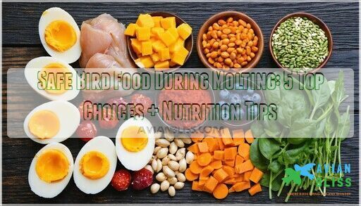 Safe Bird Food During Molting: 5 Top Choices + Nutrition Tips