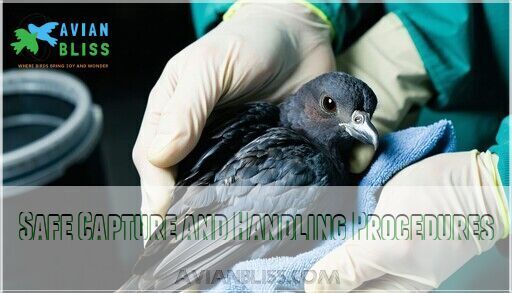 Bird Trauma Recovery Techniques: Expert Rehabilitation Guide 2025