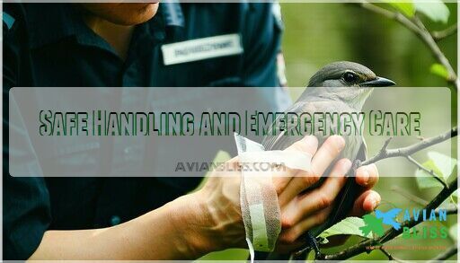 Bird Wing Injury Repair: Simple Steps to Help It Heal Safely
