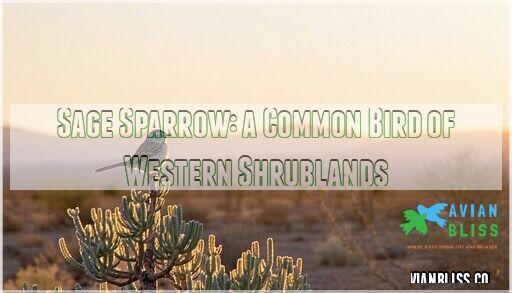 Sage Sparrow: Western Shrubland Bird Facts, Diet & Habitat Guide