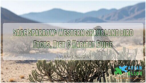 Sage Sparrow: Western Shrubland Bird Facts, Diet & Habitat Guide