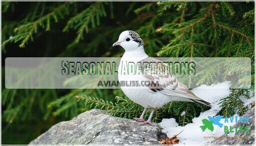 Willow Ptarmigan: Arctic Bird's Amazing Seasonal Transformations