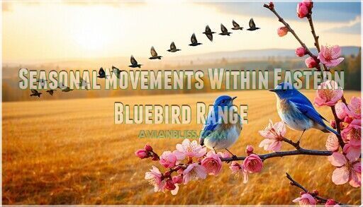Eastern Bluebird Range: Complete Guide to Their North American Habitat