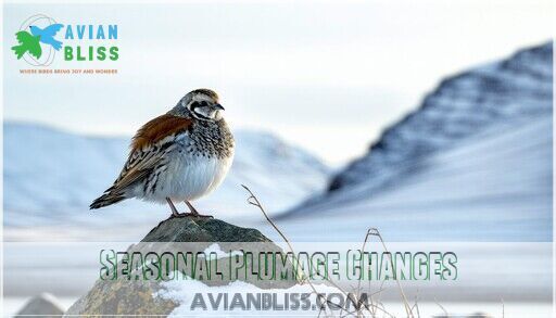 Rock Ptarmigan: Arctic Bird Guide & Identification Tips