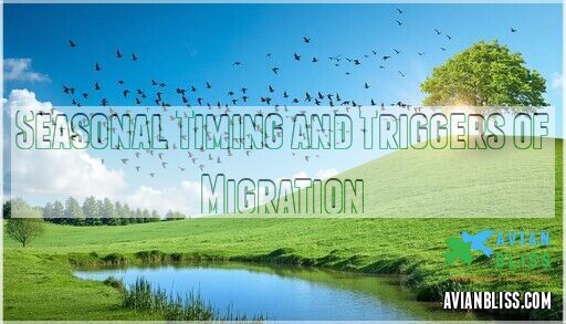 Bird Migration Patterns Western Europe: Routes, Timing & Species Guide