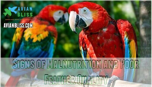 Macaw Common Health Problems: 10 Solutions & Warning Signs