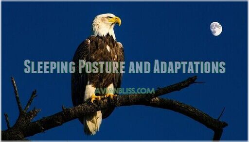 Do Bald Eagles Hunt at Night? Surprising Facts About Their Behavior