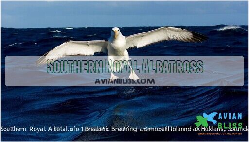 Largest Wingspan Bird: Top 10 Giants That Rule The Skies (2025)