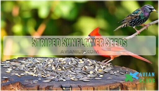 Bird Food to Deter Starlings: 7 Proven Seeds & Feeders (2025)