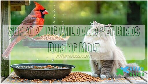 Bird Molting: What It Is, Why Birds Molt, and How You Can Help During Molt
