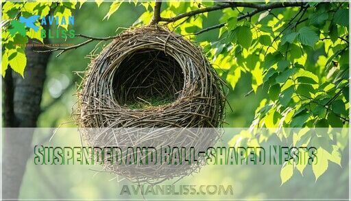 Bird Nesting Behavior Patterns: 7 Shocking Secrets Revealed