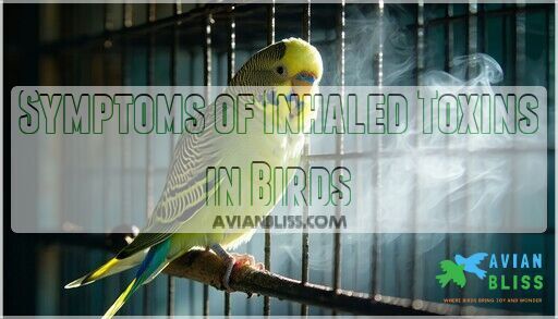Aerosol Poisoning in Birds: Signs, Symptoms & Prevention Tips