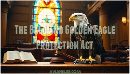 How Much is a Bald Eagle Feather Worth? Legal Facts & Values 2025