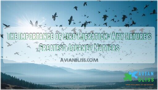 The Importance of Bird Migration: Why Nature's Greatest Journey Matters