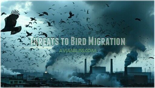 Avian Migration Behavior Tips: 6 Secrets Birds Use to Navigate