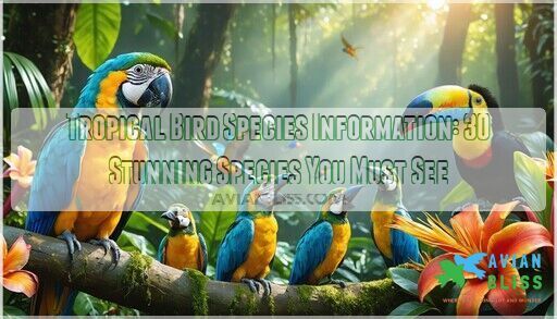 Tropical Bird Species Information: 30 Stunning Species You Must See