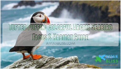 Tufted Puffin: Colorful Arctic Seabird Facts & Habitat Guide