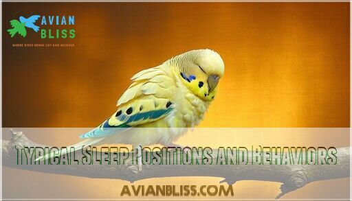 Why is My Bird Sleeping So Much? 7 Warning Signs & Solutions