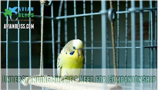 Signs of a Lonely Budgie: How to Spot & Help Your Feathered Friend