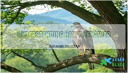 Are Hawks Dangerous to Humans? The Facts on Attacks, Risks, and Safety