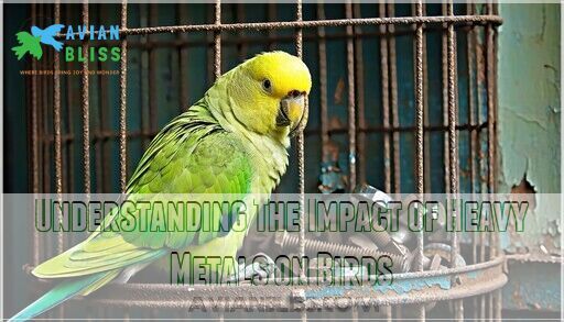 Aerosol Poisoning in Birds: Signs, Symptoms & Prevention Tips