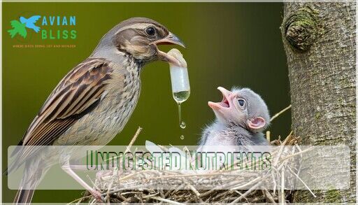 Why Do Mother Birds Eat Their Babies Poop? (The Surprising Truth)