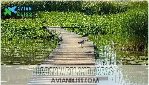 Urban Bird Watching Locations Map: Best City Spots & Routes Revealed