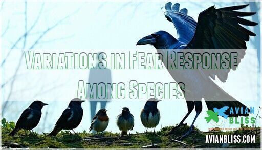 Why Are Birds Scared of Humans? Science Behind Their Fear Response