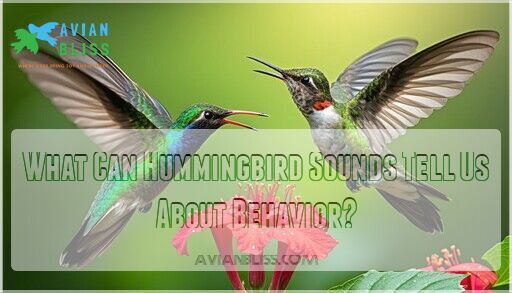 Do Hummingbirds Sing? Calls, Sounds & What They Mean