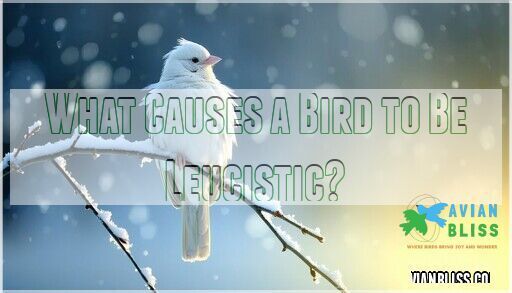 How Rare Leucistic Albino Birds? Stunning Mutations & ID Guide