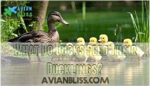 How Does a Mother Duck Feed Her Ducklings? Amazing Parental Care