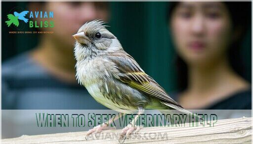 Why Do Birds Fluff Up Their Feathers? (9 Surprising Reasons)
