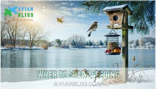 When to Start Feeding Birds: Best Times & Tips for Success