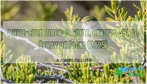 White-Eyed Vireo: ID Guide, Habitat, Song & Behavior Facts (2025)