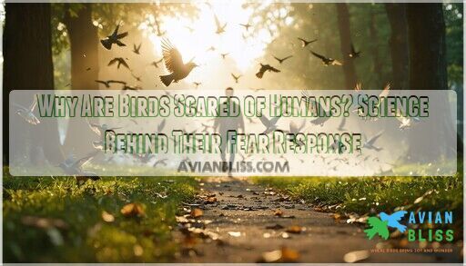 Why Are Birds Scared of Humans? Science Behind Their Fear Response