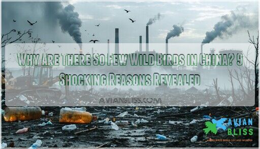 Why Are There So Few Wild Birds in China? 9 Shocking Reasons Revealed