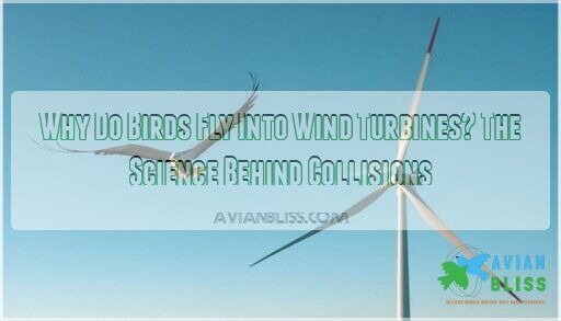Why Do Birds Fly Into Wind Turbines? The Science Behind Collisions