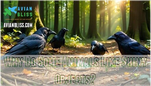 Are Crows Attracted to Shiny Objects? The Surprising Truth Revealed