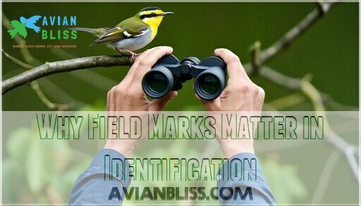Field Marks: Complete Guide to Wildlife & Bird Identification Tips