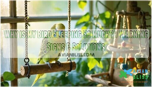 Why is My Bird Sleeping So Much? 7 Warning Signs & Solutions