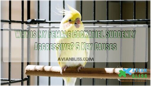 Why is My Female Cockatiel Suddenly Aggressive? 5 Key Causes