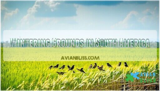 Bobolink Bird: Complete Guide to North America's Migrating Songbird