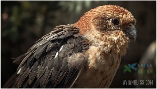 Signs of Unhealthy Bird Feathers: What to Look for in 2025