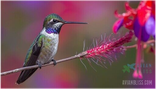 How Do Hummingbirds Clean Themselves? Preening, Bathing & More
