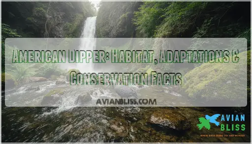 American Dipper: Habitat, Adaptations & Conservation Facts