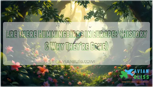 Are There Hummingbirds in Europe? (History & Why They're Gone)