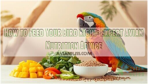 How to Feed Your Bird Right: Expert Avian Nutrition Advice