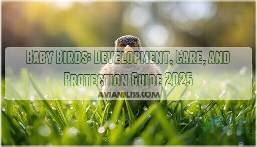Baby Birds: Development, Care, and Protection Guide 2025