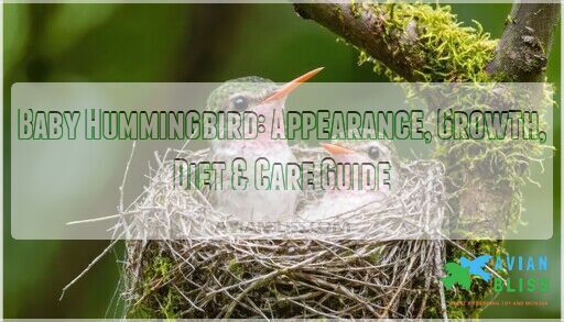 Baby Hummingbird: Appearance, Growth, Diet & Care Guide
