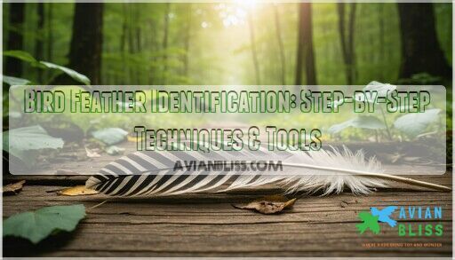 Small Songbird Identification: Easy Guide With Photos & Names 2025